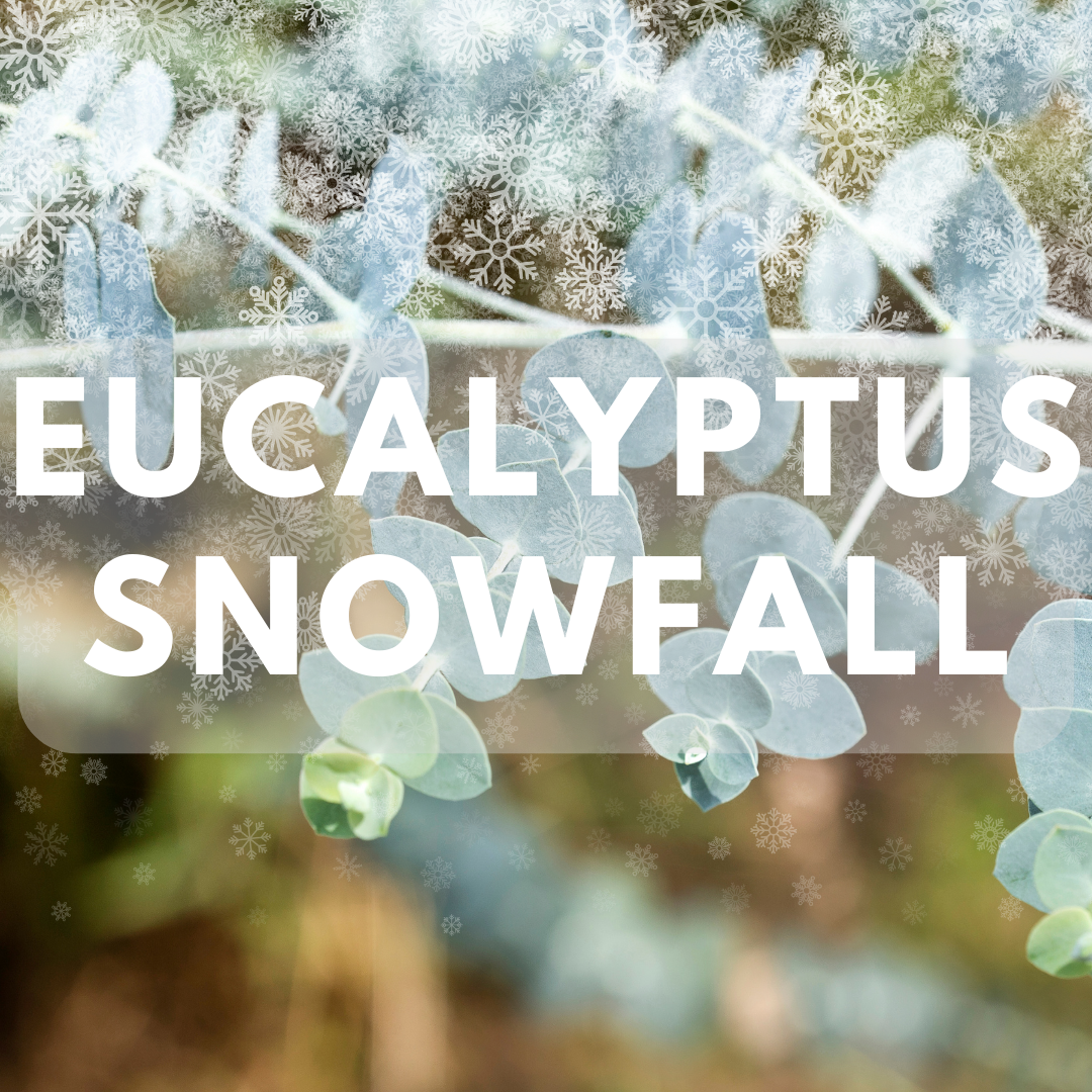 Eucalyptus Snowfall Premium Fragrance Oil – Fizz Fairy Krazycolours Inc.