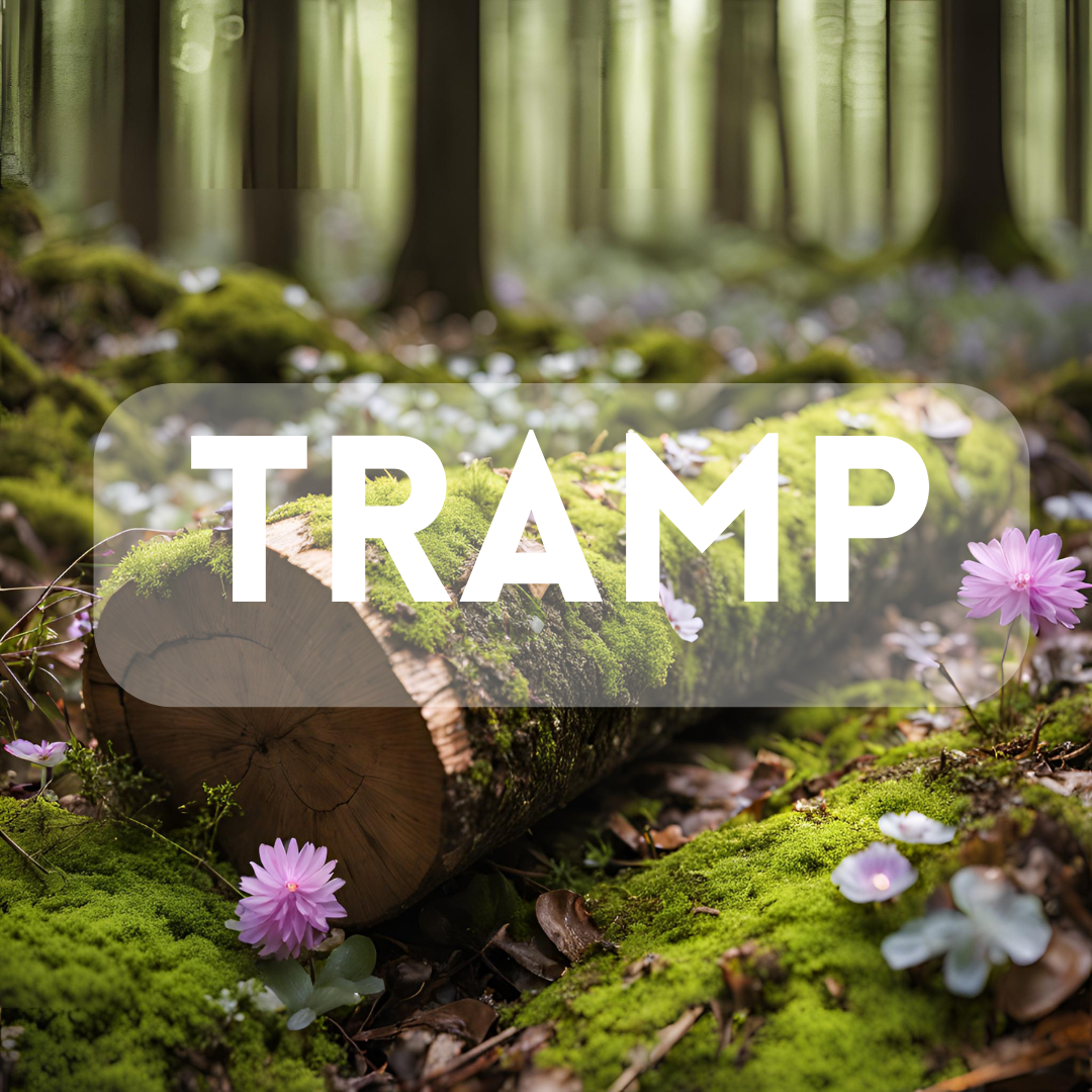 Compare to Tramp (Lush Dupe) - Premium Fragrance Oil – Fizz Fairy ...