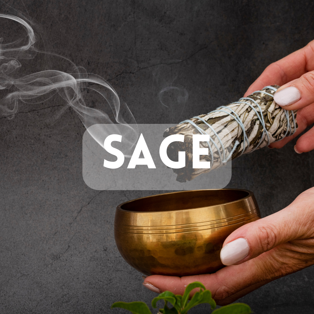 Sage - Premium Fragrance Oil – Fizz Fairy Krazycolours Inc.