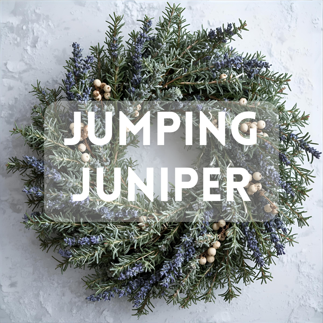 Jumping Juniper - Premium Fragrance Oil – Fizz Fairy Krazycolours Inc.
