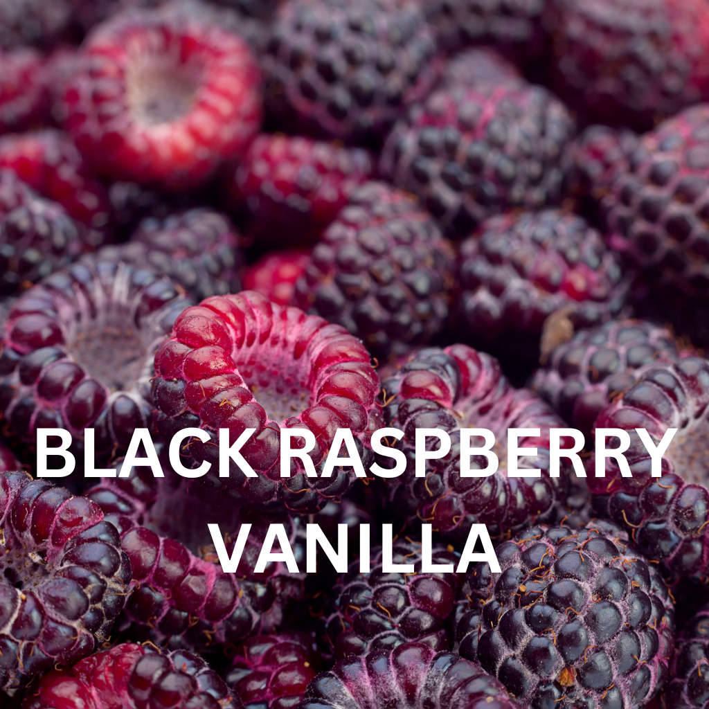Black Raspberry Vanilla - Premium Fragrance Oil – Fizz Fairy ...