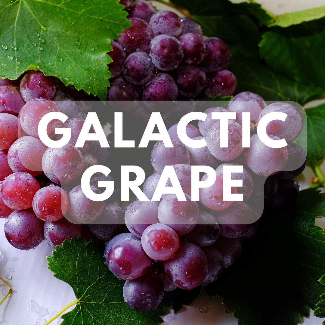 Galactic Grape - Premium Fragrance Oil – Fizz Fairy Krazycolours Inc.