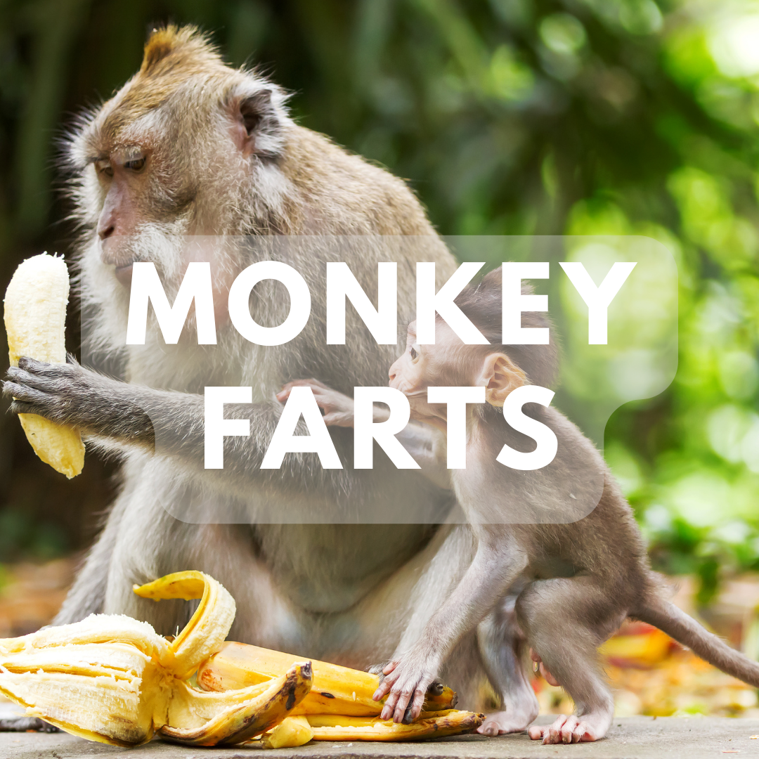 Monkey Farts - Premium Fragrance Oil – Fizz Fairy Krazycolours Inc.